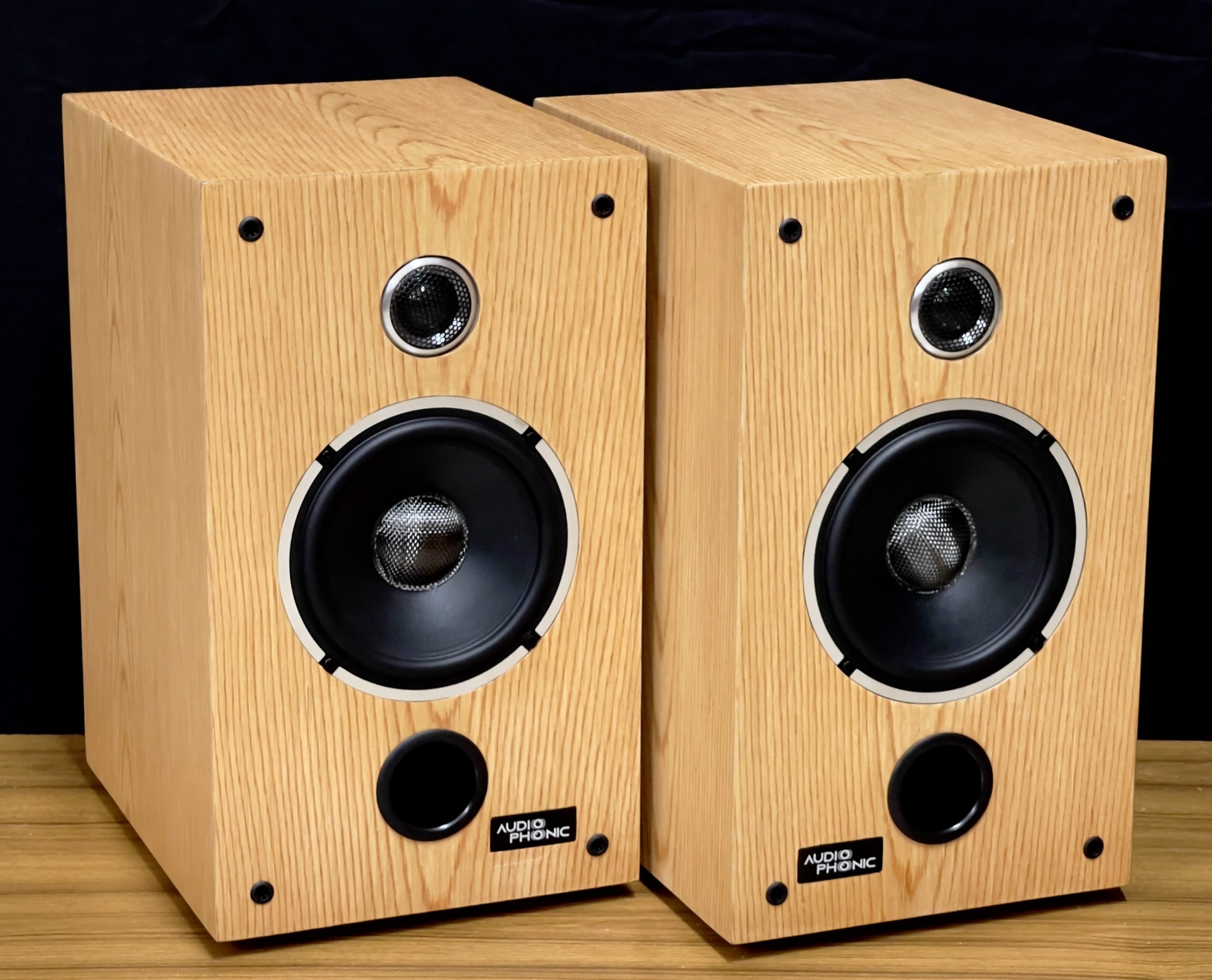 Model# Nitro-100(Wooden) - Audio Phonic : Audio Phonic